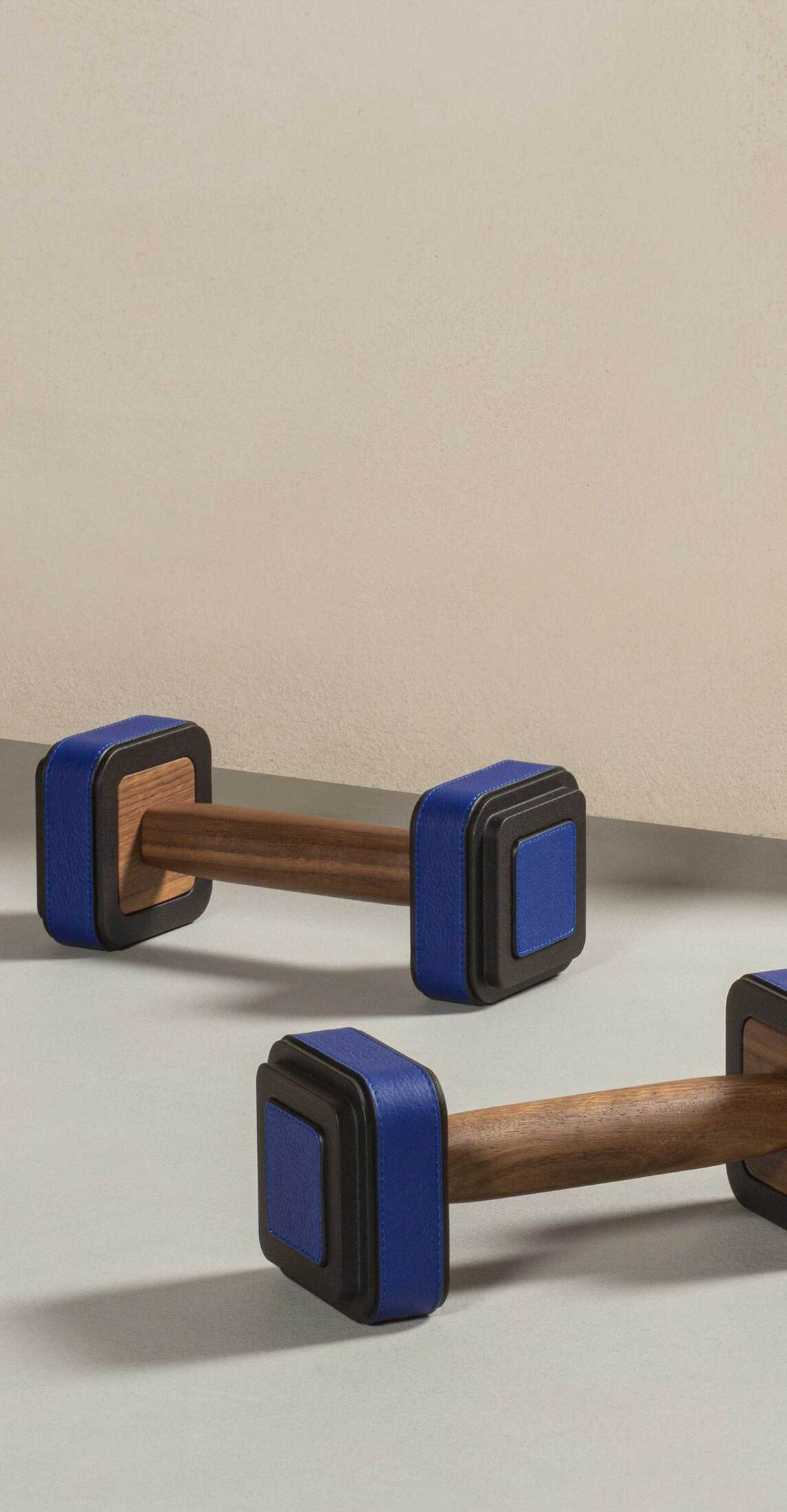 Designer Luxury Dumbbells Set of 2-kg - Fitness collection