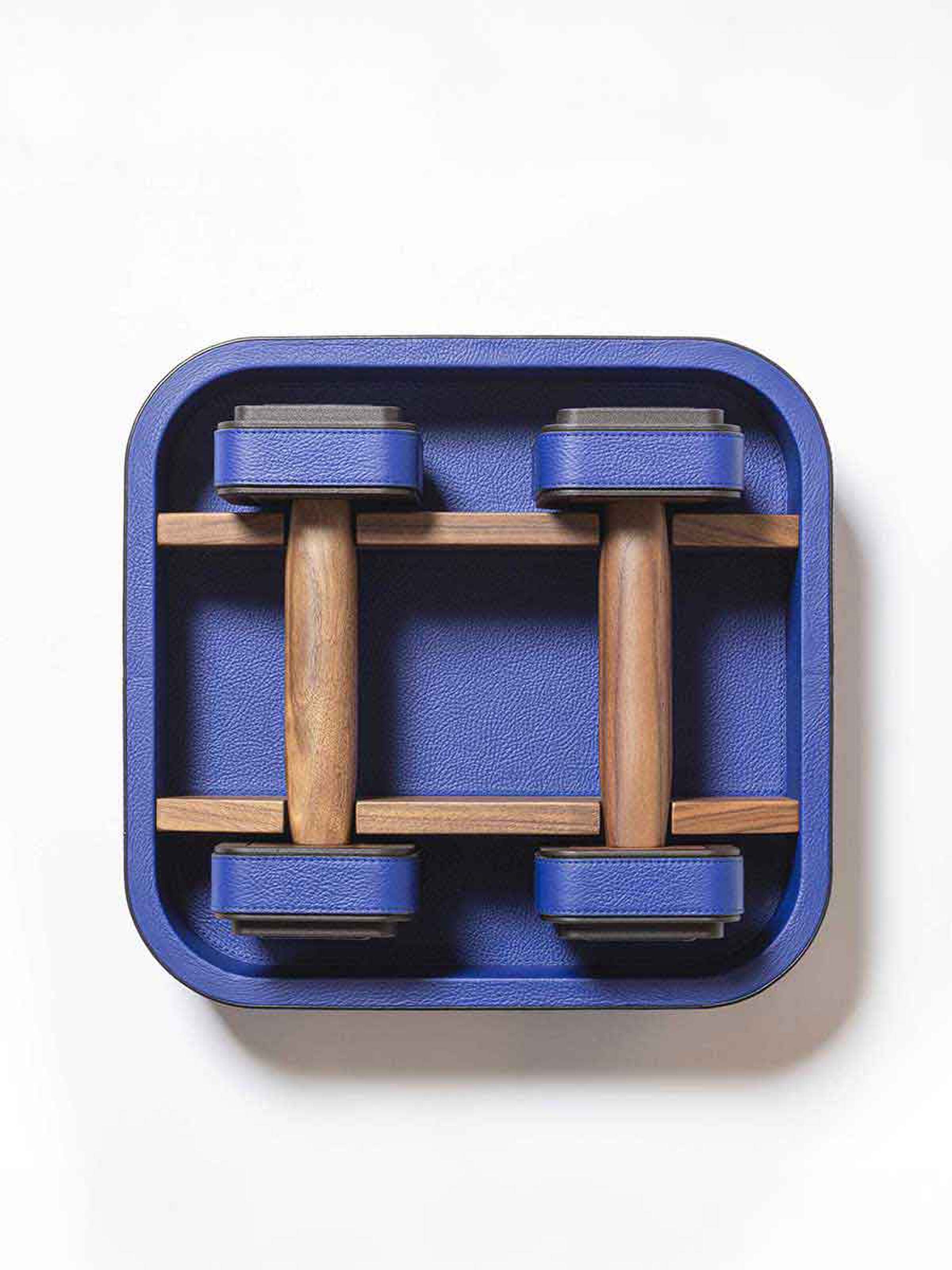 Designer Luxury Dumbbells Set of 2-kg - Fitness collection