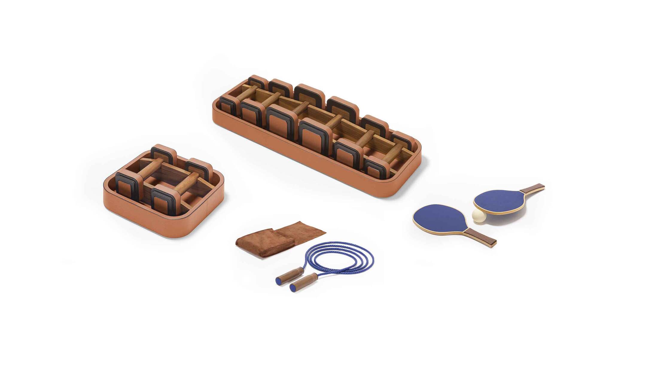 Designer Luxury Dumbbells Set of 6-kg - Fitness collection