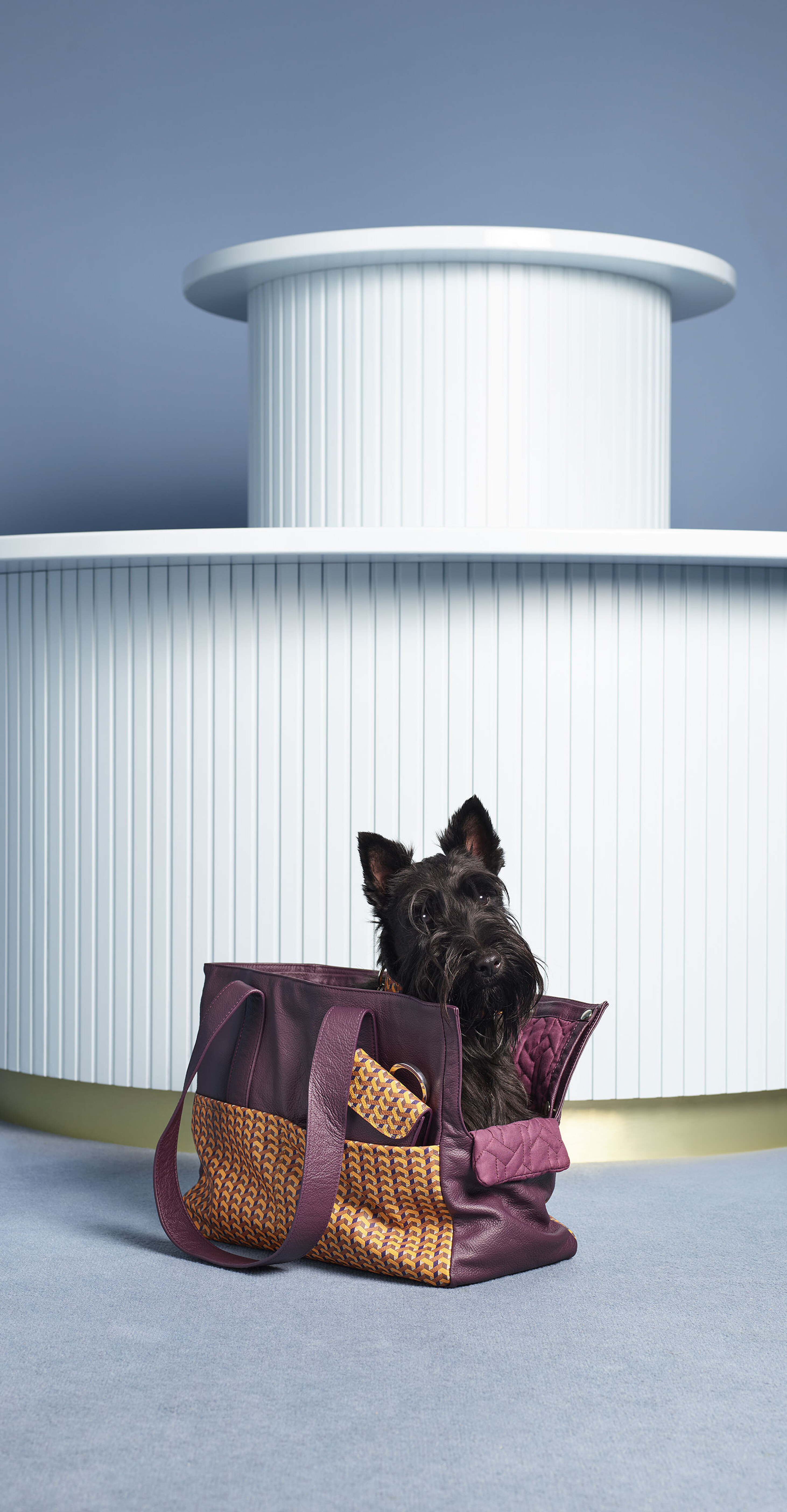 Designer Dog Bag | Pet collection